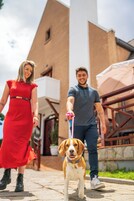 Comodidades para animais de estimação