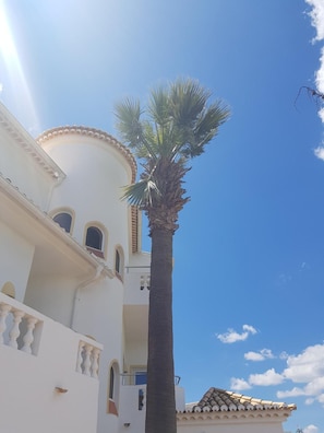 Pormenores do exterior