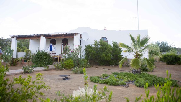 Um edifício branco com um pátio, rodeado por plantas diversas e uma palmeira.