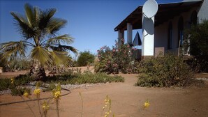 Um jardim no deserto com cactos, plantas floridas e uma palmeira.