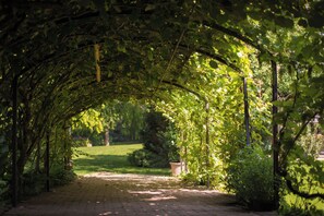 Um caminho sob um arco coberto de trepadeiras em um jardim.