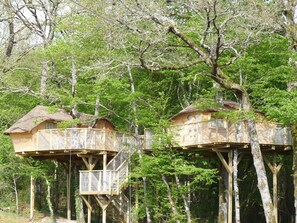 Casa na Árvore (4 people) | Vista do quarto