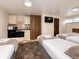 Quarto de hotel com cozinha compacta, duas camas, televisão e tapete estampado.