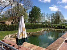 Piscina exterior, espreguiçadeiras 