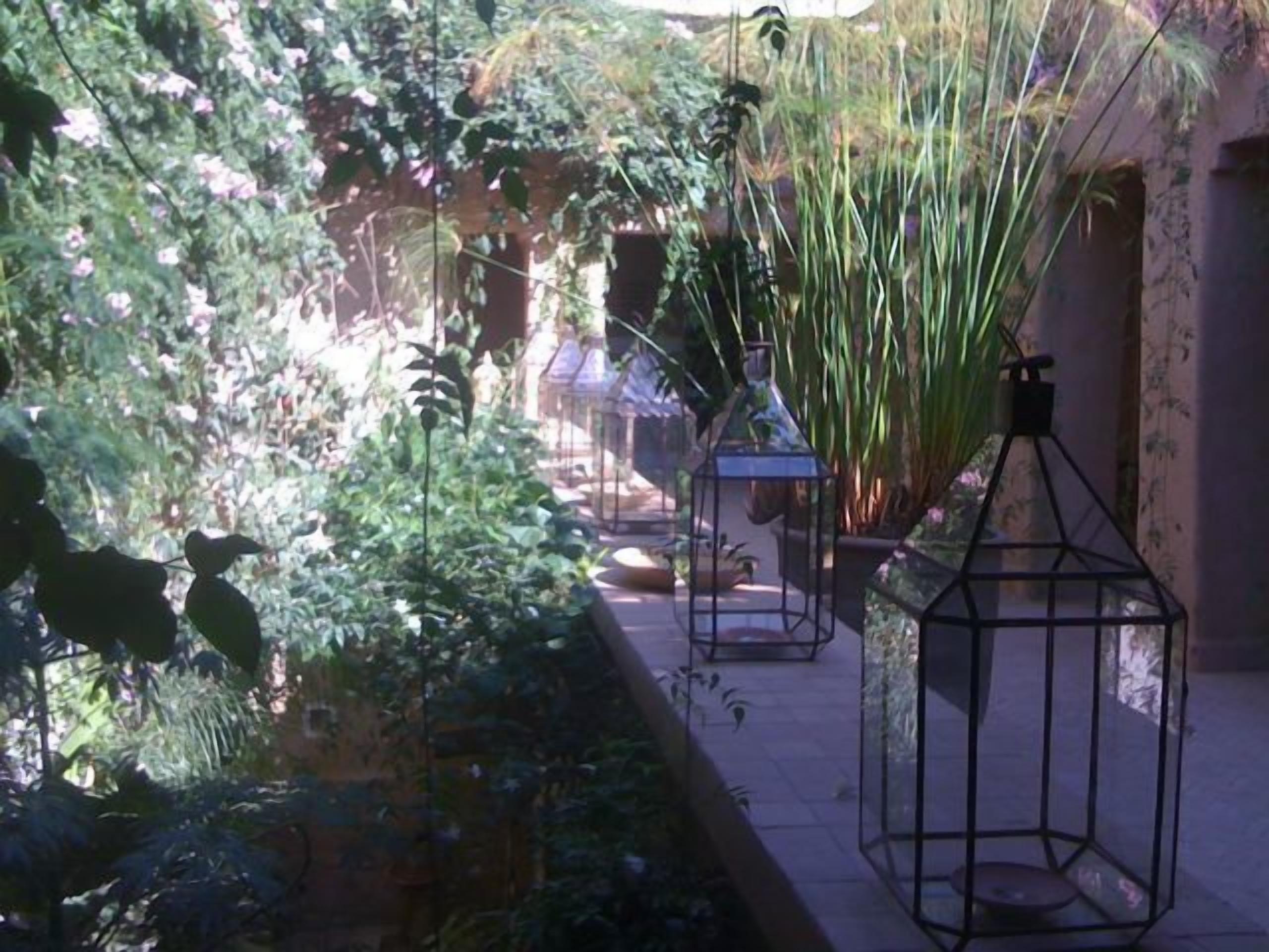Uma área de jardim com plantas em vasos e lanternas penduradas.