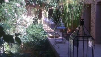 Uma área de jardim com plantas em vasos e lanternas penduradas.