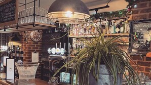 Uma área de bar com balcão de madeira, uma grande planta em vaso, uma torneira de cerveja e um cardápio em lousa.