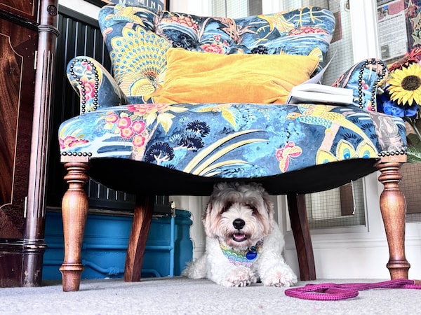 The Sheldon B&b - Eastbourne