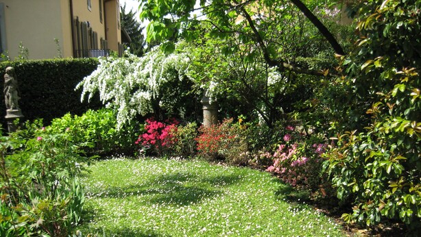 Um jardim com diversas plantas e flores, um caminho pavimentado e uma estátua.