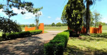 Alameda pavimentada que leva a um portão com barreiras laranja, cercada por sebes e árvores bem cuidadas.