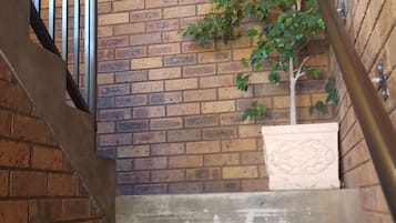 Pormenores do exterior