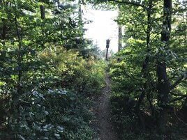 Caminhada