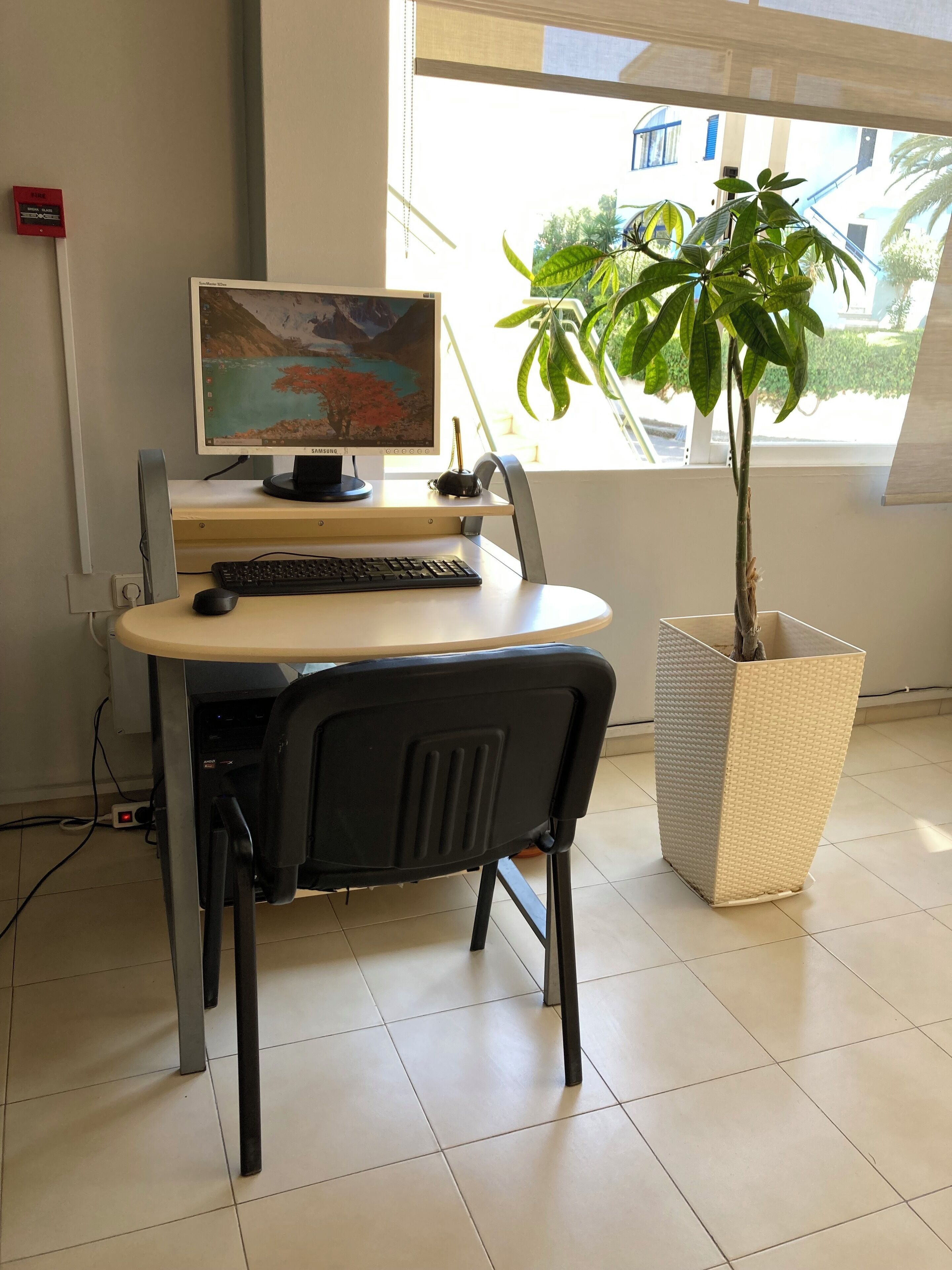 Um espaço de trabalho com computador, teclado, cadeira, planta em vaso e janela com vista para prédios.