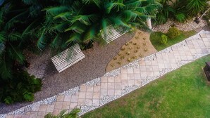 Vista aérea de um jardim paisagístico com um caminho pavimentado, palmeiras e um canteiro com suculentas.