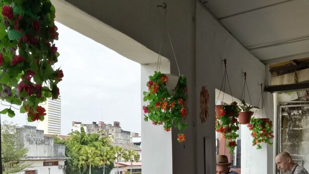 Um restaurante com vista para um rio, mesas de madeira, plantas pendentes e um horizonte urbano ao fundo.