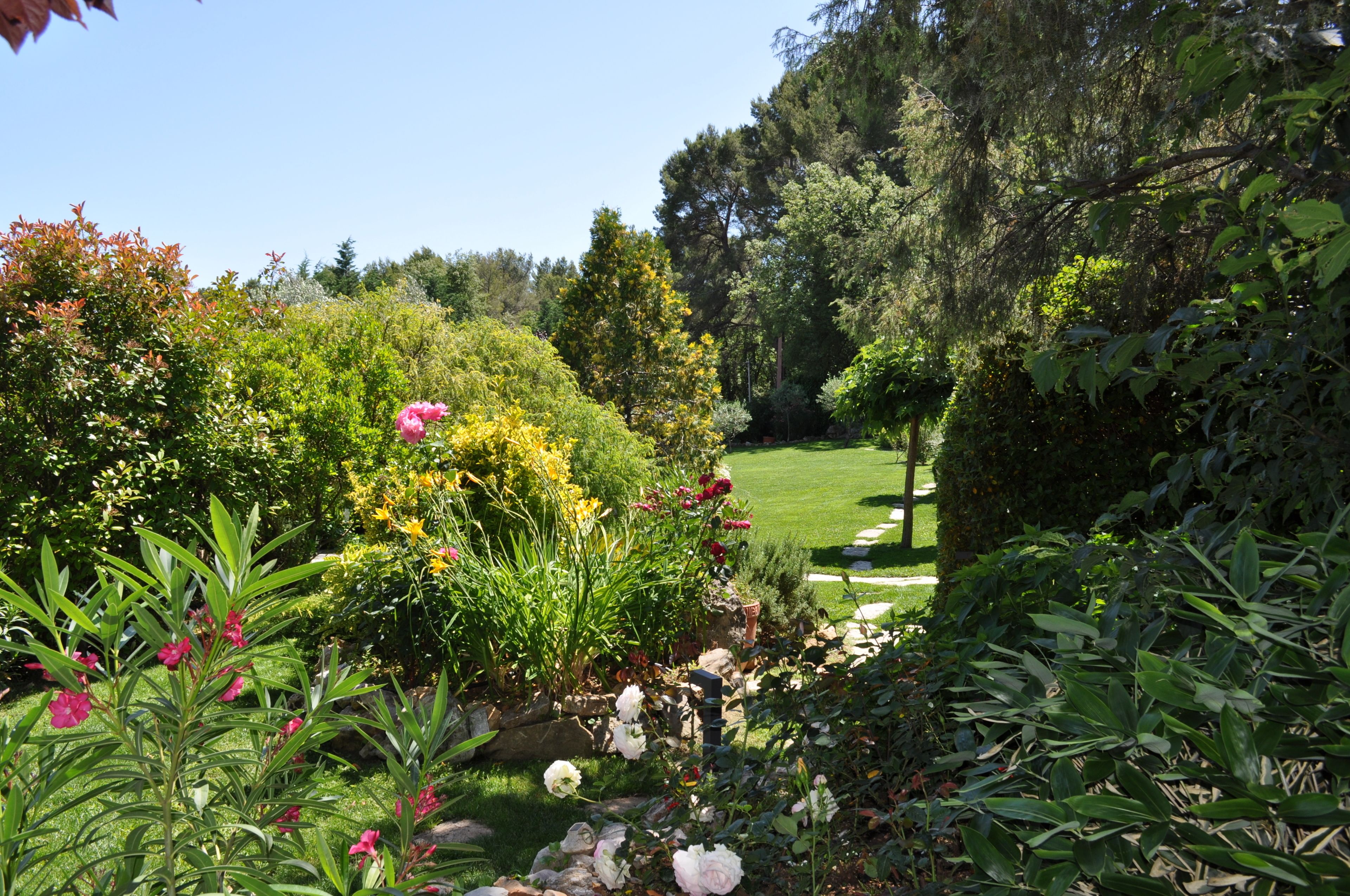 Jardim