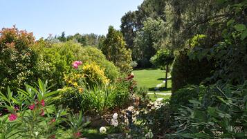 Jardim