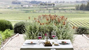 Uma mesa posta para refeição, com vista para um vinhedo e colinas ondulantes ao fundo.