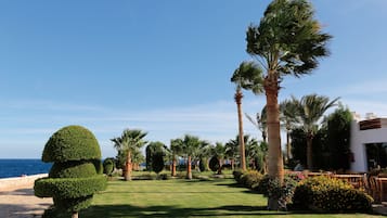 Vista para o jardim