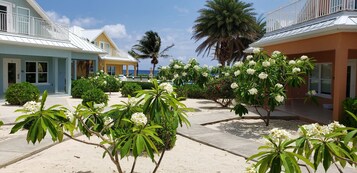 Terrenos do alojamento