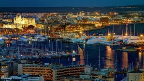 Marina com vários barcos atracados, uma catedral histórica ao fundo e um horizonte urbano com edifícios e luzes.