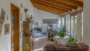 Uma sala de estar acolhedora com lareira, televisão e área de jantar com livros e plantas.