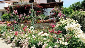 Uma casa de dois andares com uma parede de pedra e diversos canteiros de plantas floridas na frente.