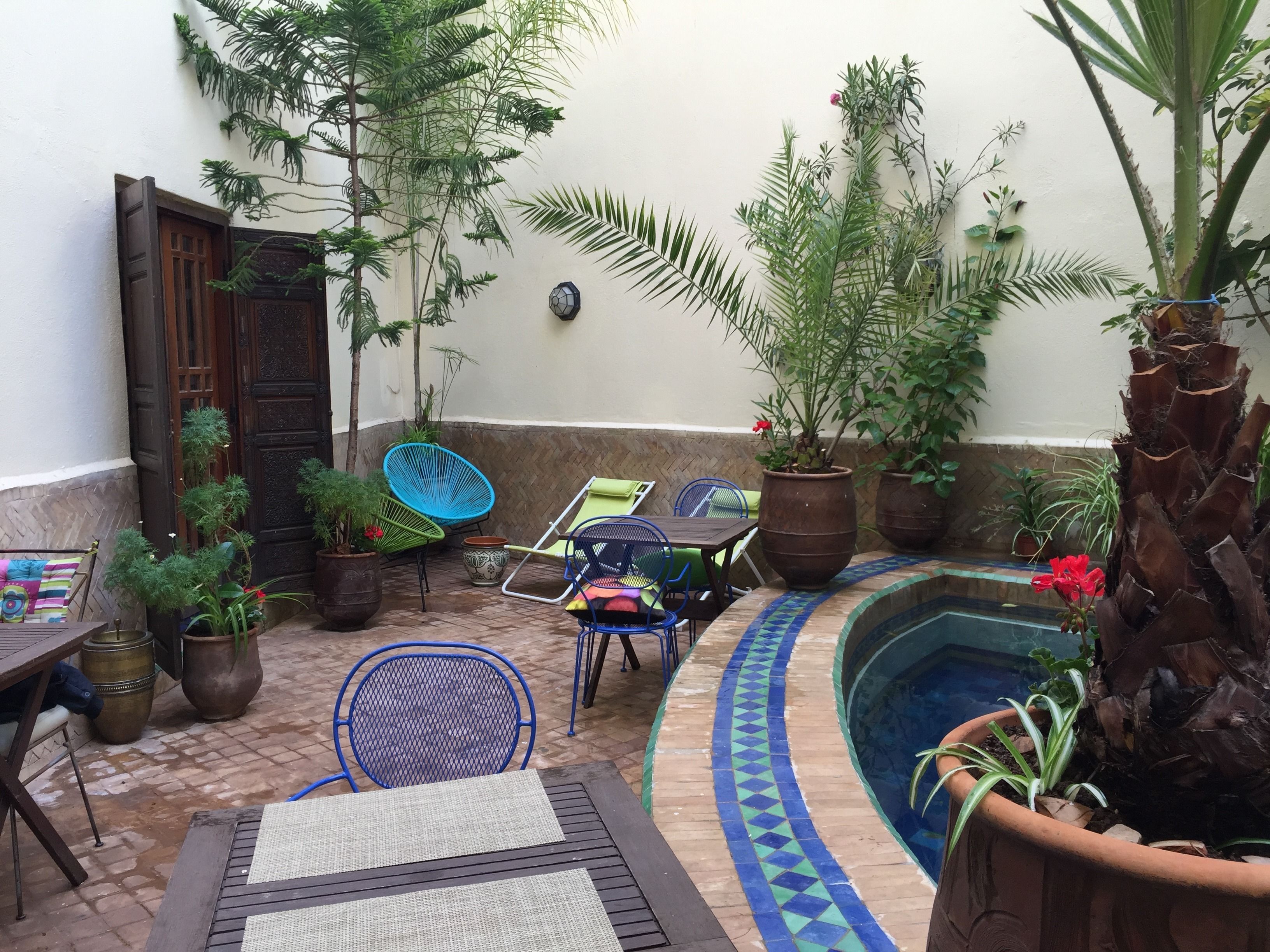 Um pátio com piscina, área de estar e plantas em vasos.