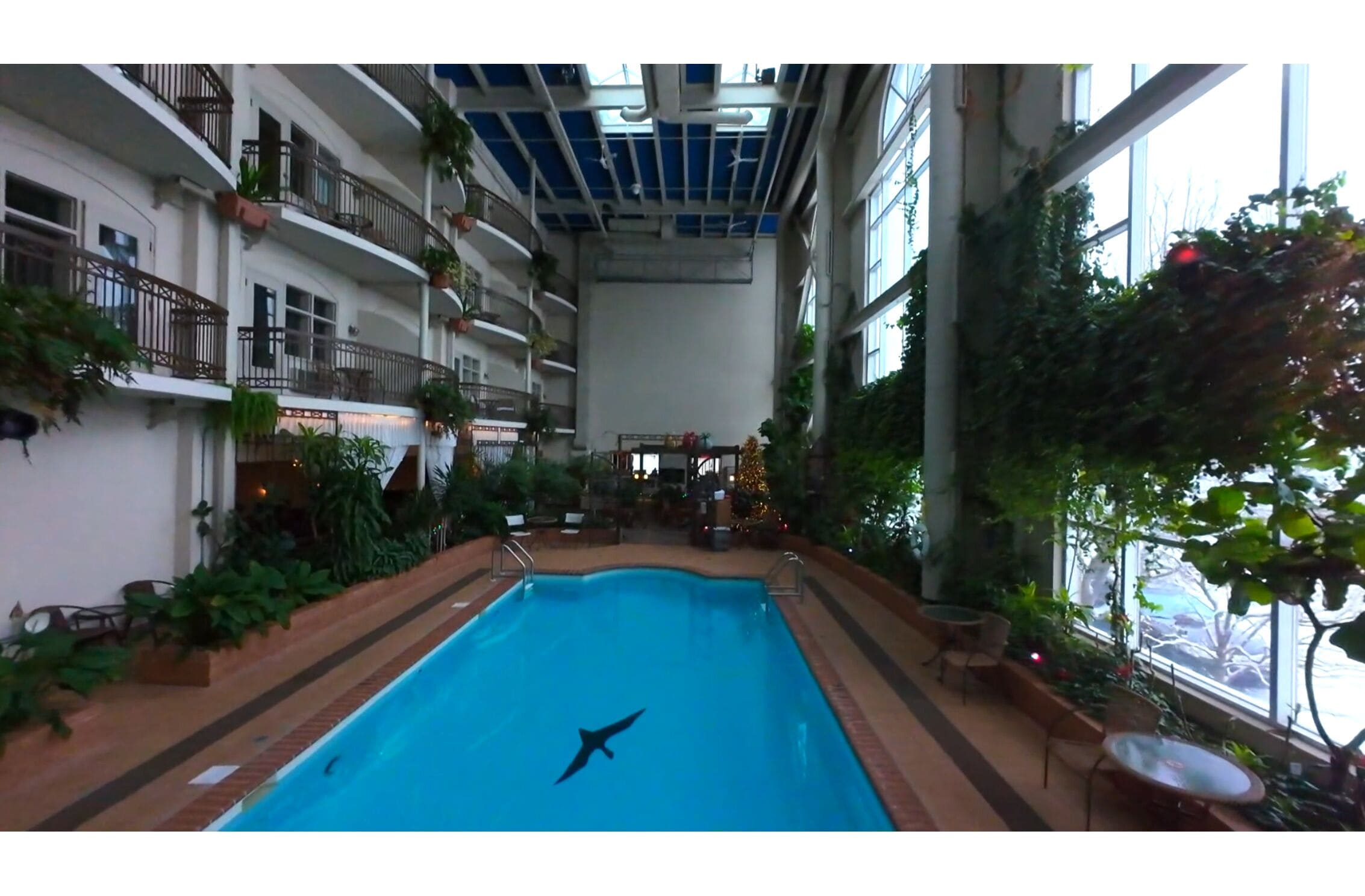 Piscina interior com trampolim, rodeada por varandas e plantas.