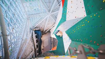 Muro de escalada – indoor