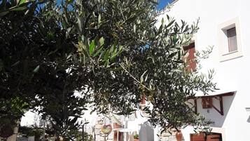 Terrenos do alojamento