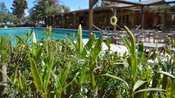 Área da piscina com pergolado de madeira, cadeiras de descanso e vista clara para a piscina.