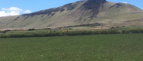 Um campo gramado com uma montanha ao fundo.