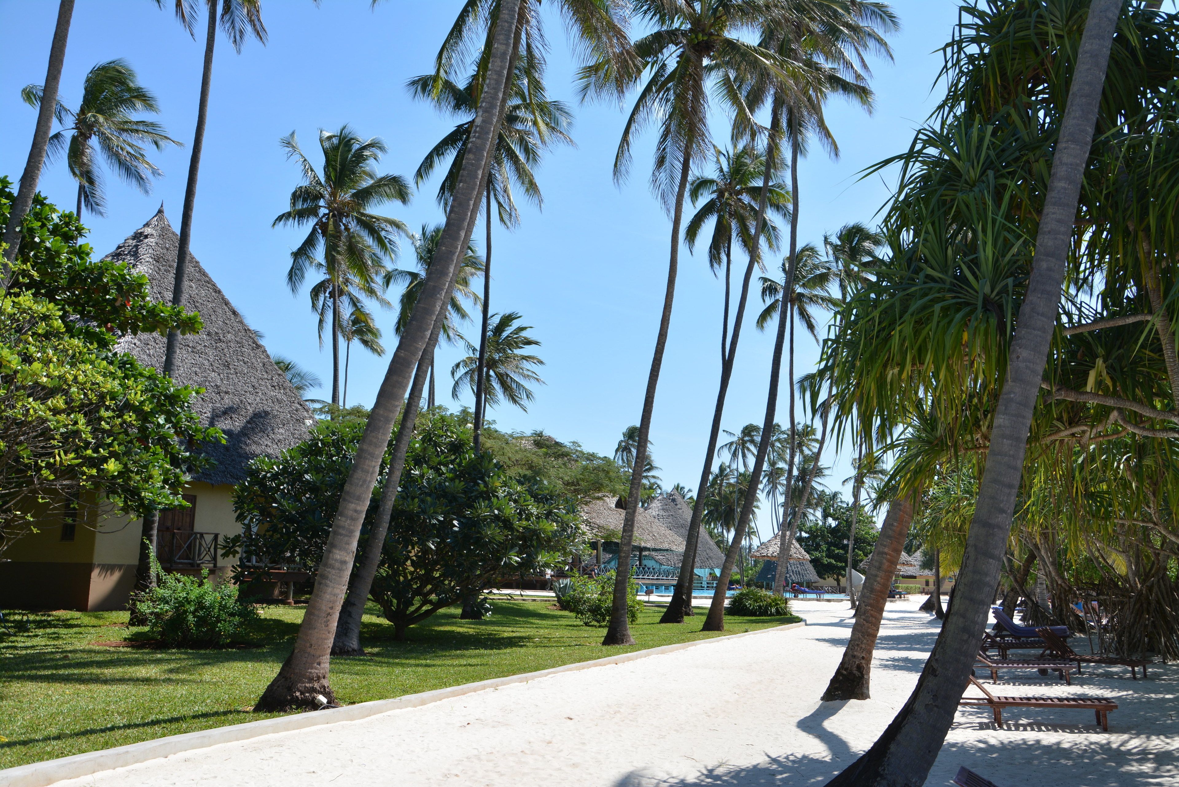 Resort na praia com palmeiras, um edifício com telhado de palha e um calçadão de areia.