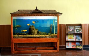 Um aquário com suporte de madeira e cobertura decorativa, rodeado por estantes cheias de revistas.