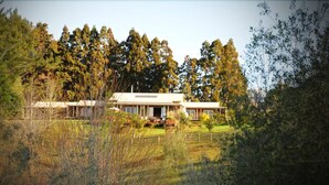 Uma casa moderna com um amplo jardim frontal, cercada por árvores altas e arbustos densos.
