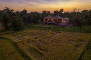Uma casa moderna com telhado de palha, cercada por uma paisagem verde exuberante.