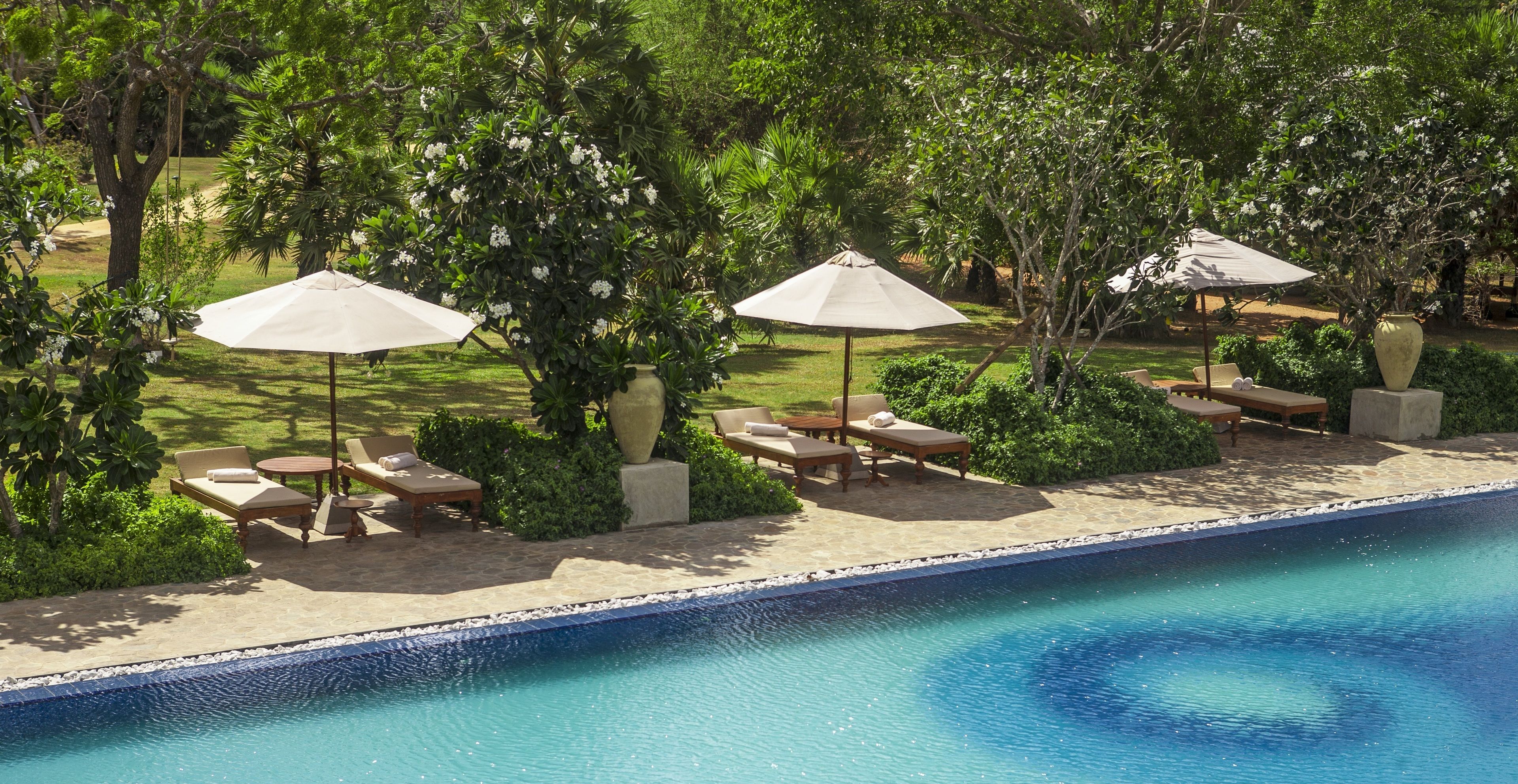 Uma área à beira da piscina com espreguiçadeiras e guarda-sóis, cercada por vegetação exuberante e uma piscina azul cristalina.