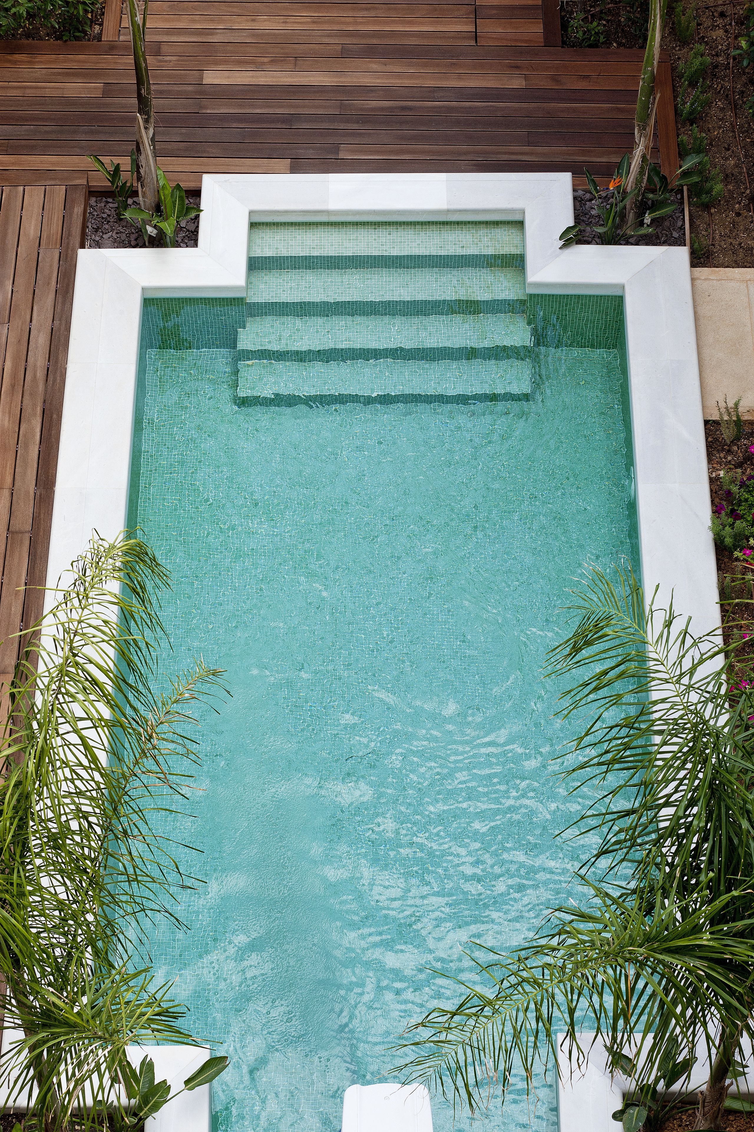 Piscina retangular com borda branca e degraus para acesso, rodeada por plantas e um deck de madeira.
