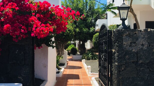 Um caminho estreito e iluminado pelo sol, ladeado por edifícios brancos e flores de bougainvillea vermelhas, com um portão preto.