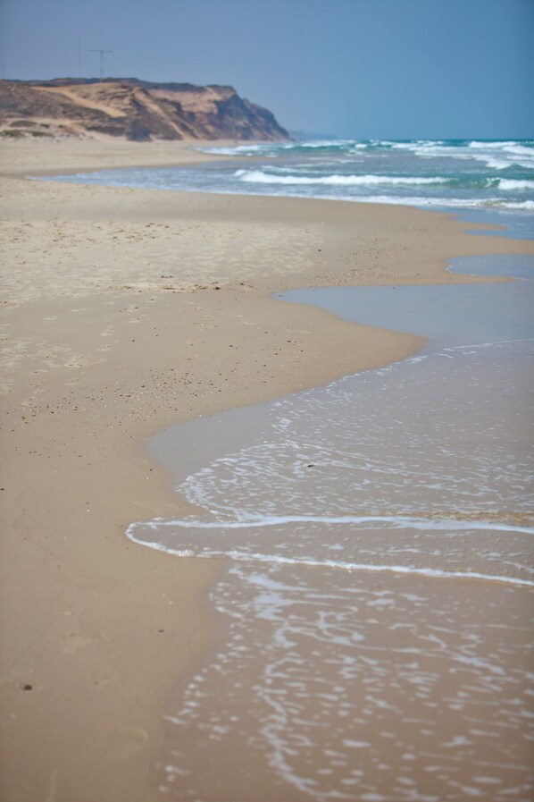 Perto da praia, espreguiçadeiras, guarda-sóis, toalhas de praia 