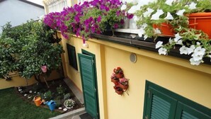 Pátio com parede amarela, persianas verdes e vasos de plantas.