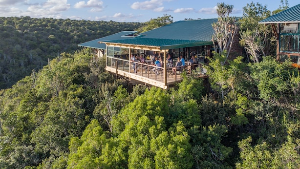 Um deck de madeira com vedação de vidro, com vista para uma área arborizada.