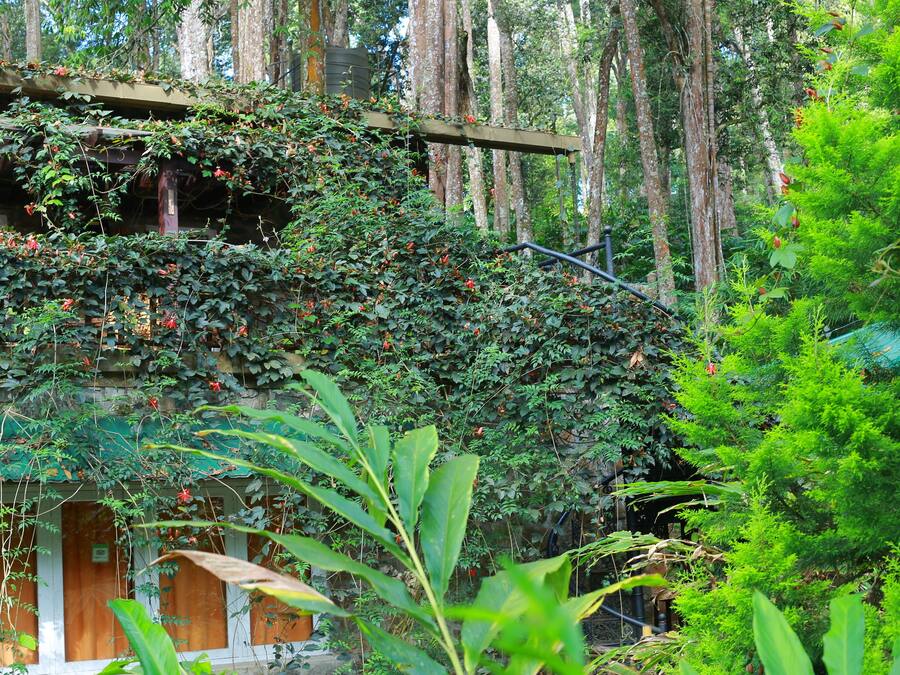 Área da propriedade