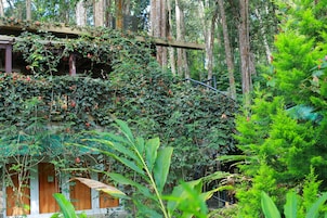 Um edifício de madeira rústico com varanda, rodeado por vegetação densa e árvores altas.