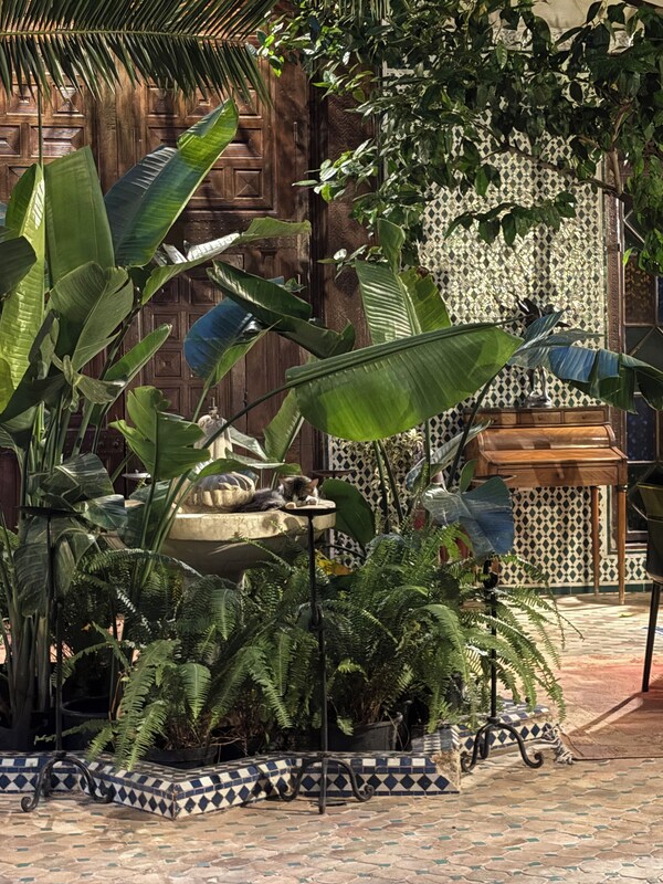 Riad Harmattan - Marrakesh