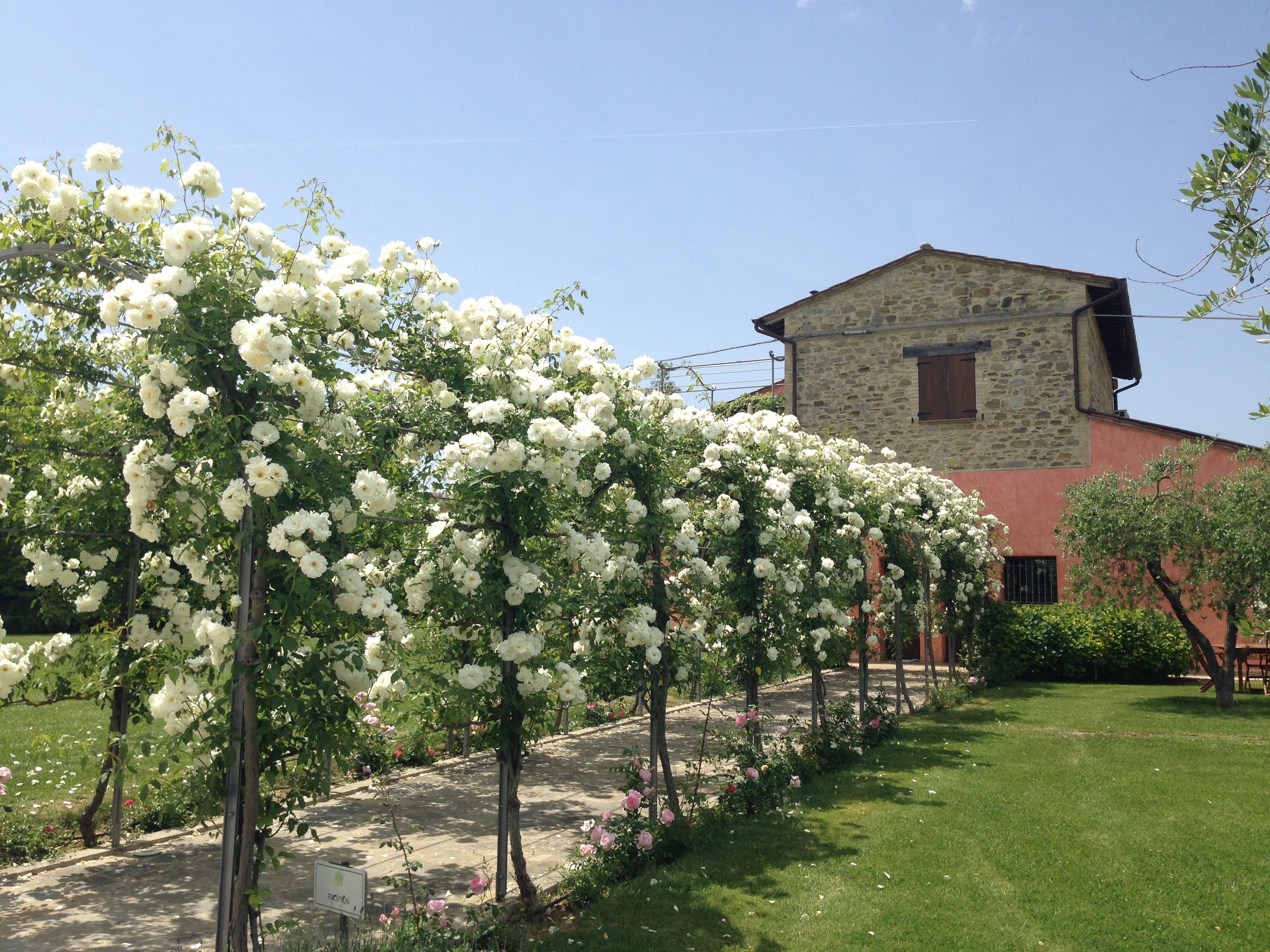 Um edifício de pedra com um jardim com árvores de flores brancas.