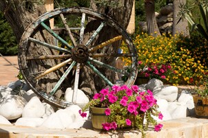 Área da propriedade