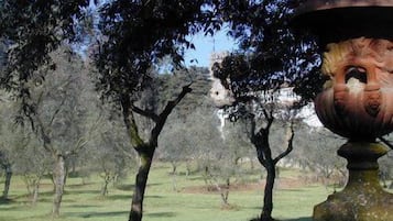 Área da propriedade
