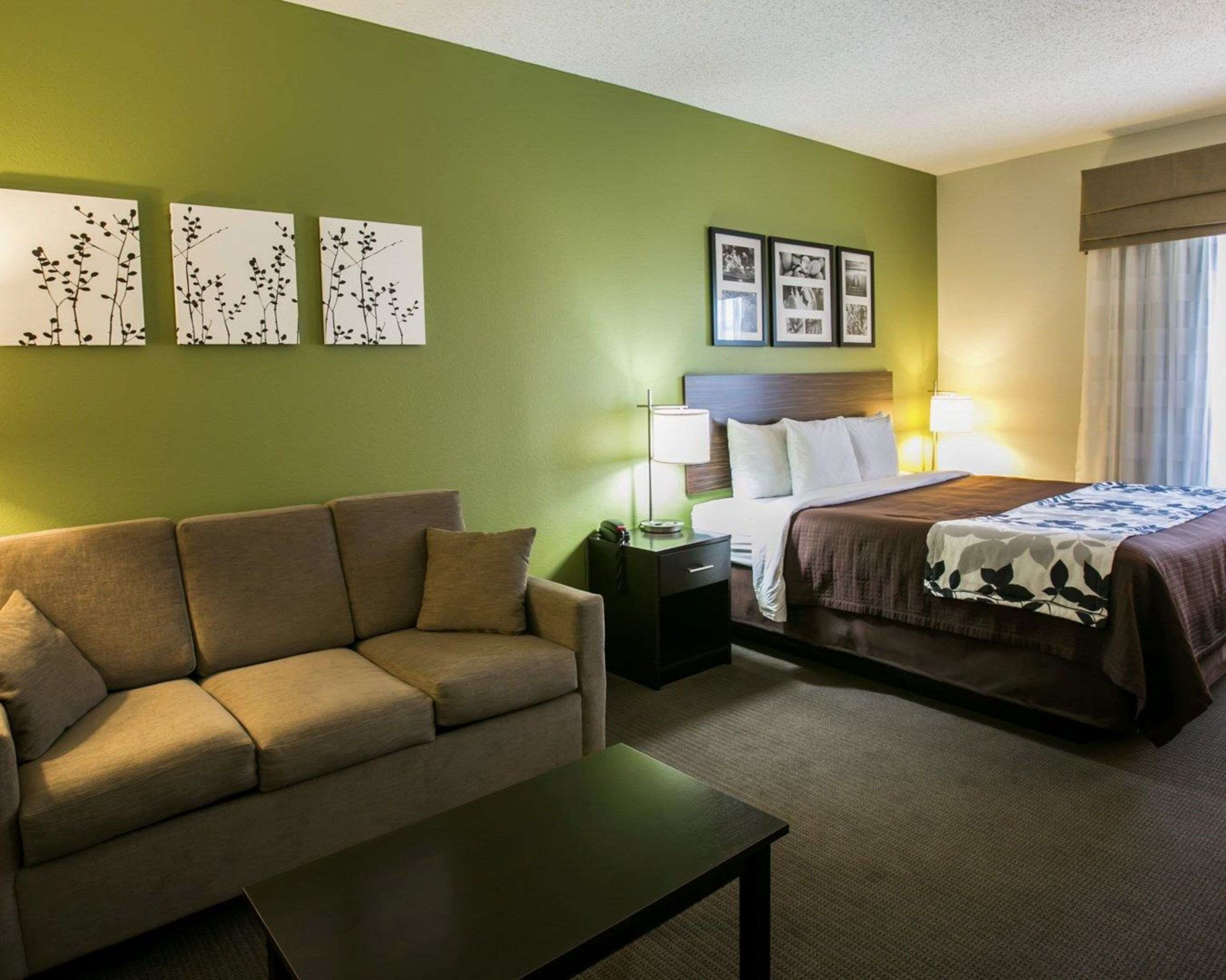 Quarto de hotel com parede verde, sofá, cama, mesa de cabeceira e abajur.